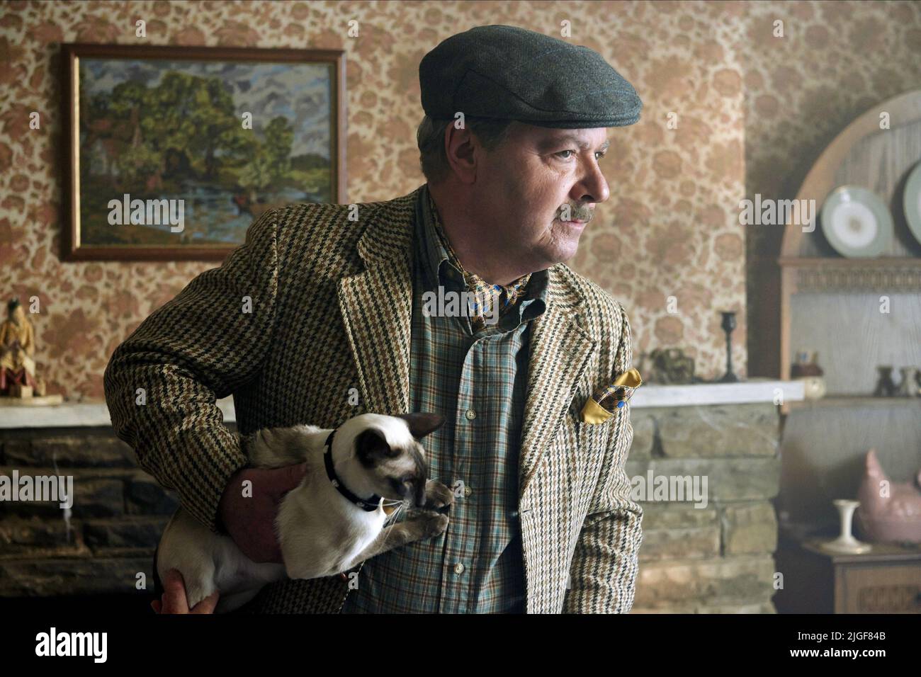 JOHN SESSIONS, PUDSEY THE DOG: THE MOVIE, 2014 Stock Photo - Alamy