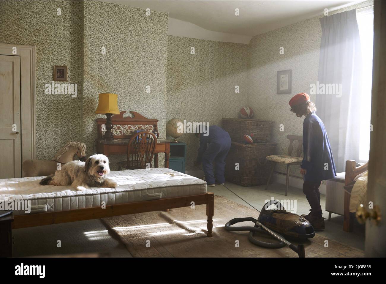 PUDSEY, SPIKE WHITE, MALACHY KNIGHTS, PUDSEY THE DOG: THE MOVIE, 2014 ...