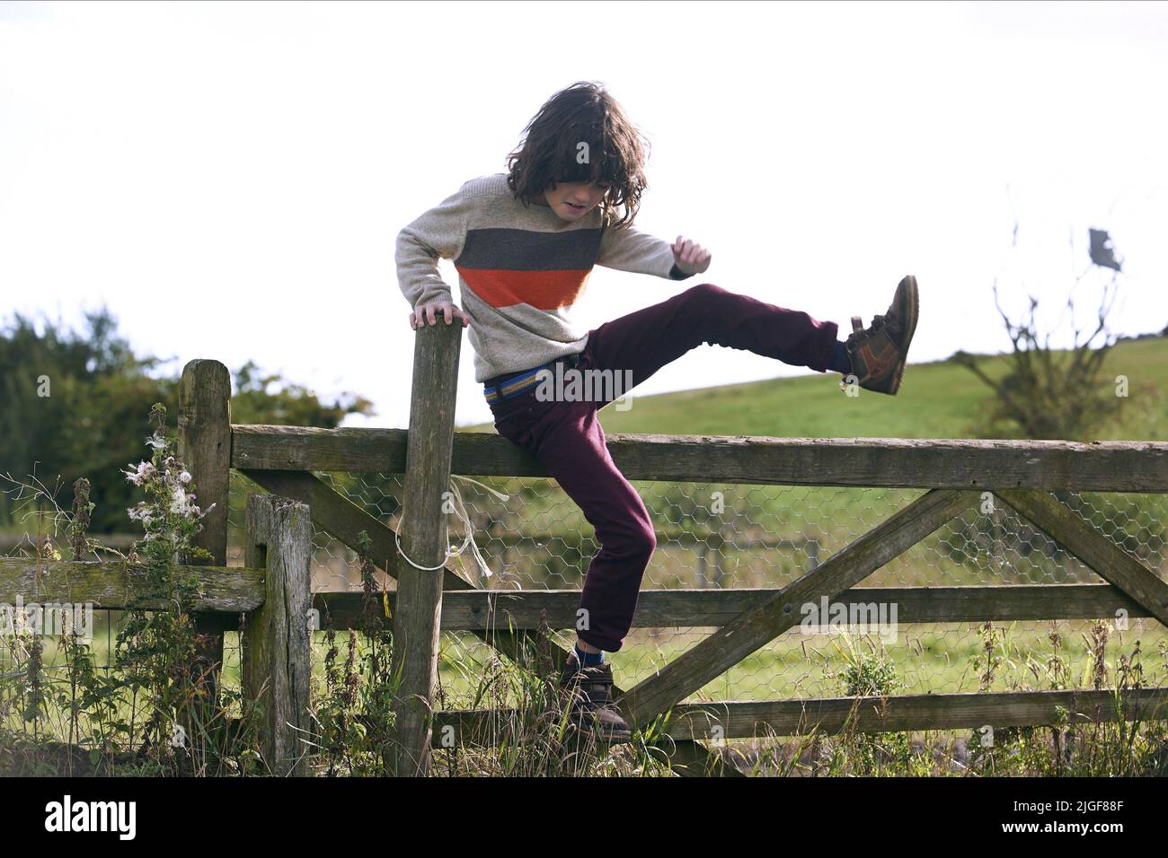 MALACHY KNIGHTS, PUDSEY THE DOG: THE MOVIE, 2014 Stock Photo - Alamy