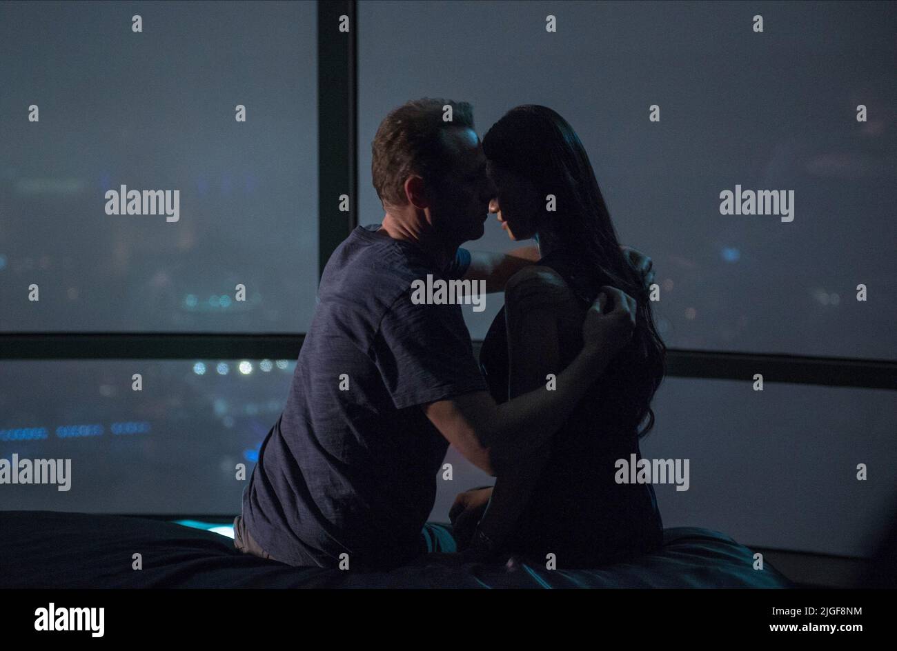 SIMON PEGG, MING ZHAO, HECTOR AND THE SEARCH FOR HAPPINESS, 2014 Stock ...