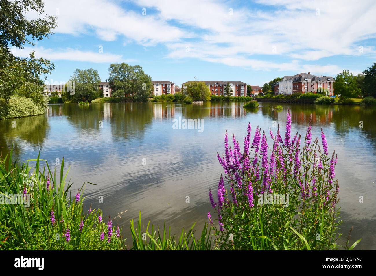 Lakeside view at at Watermead, Aylesbury, Buckinghamshire, England, UK ...