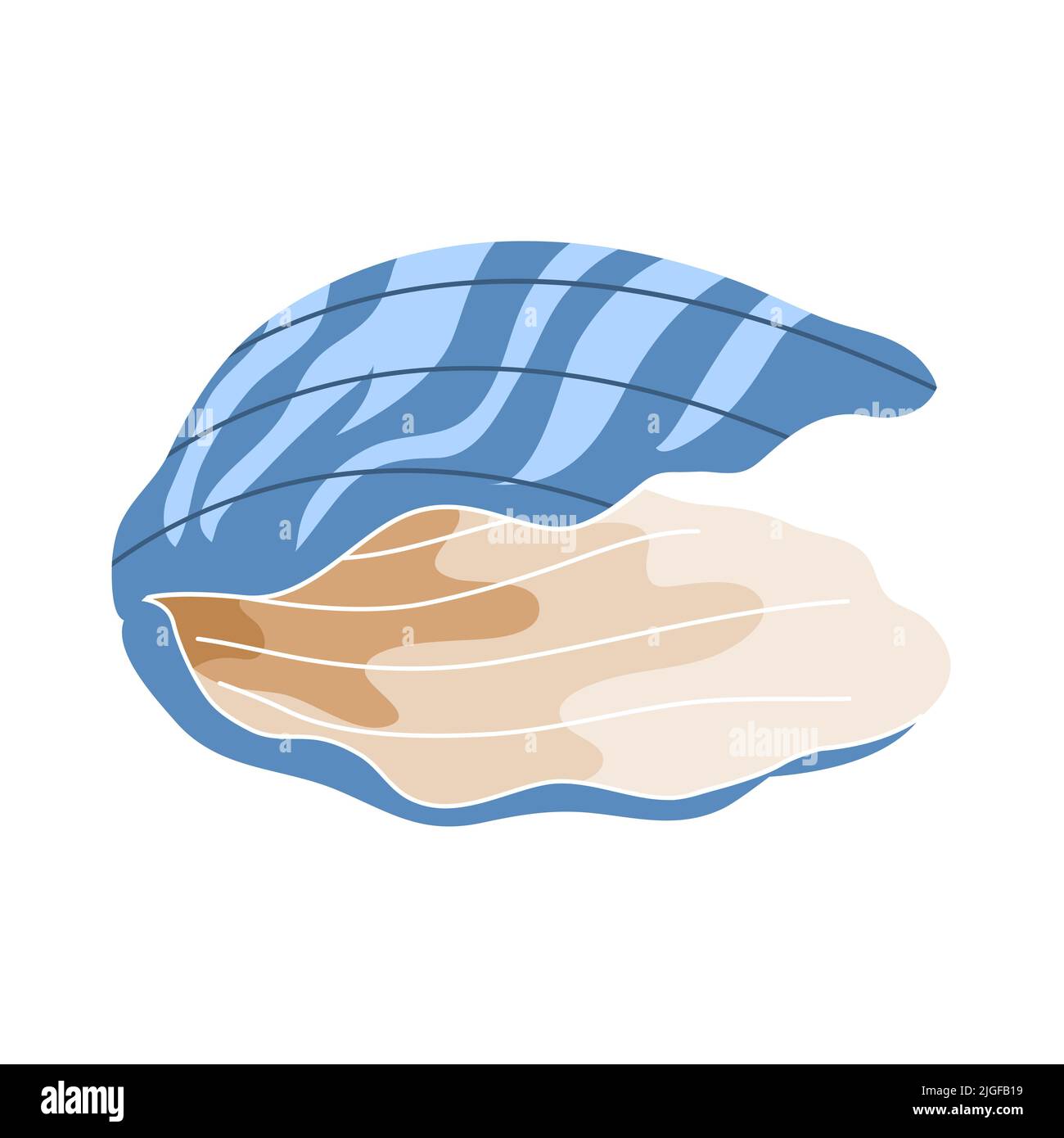 Open sea shell. Marine underwater twisted shell. Undersea mollusc ...