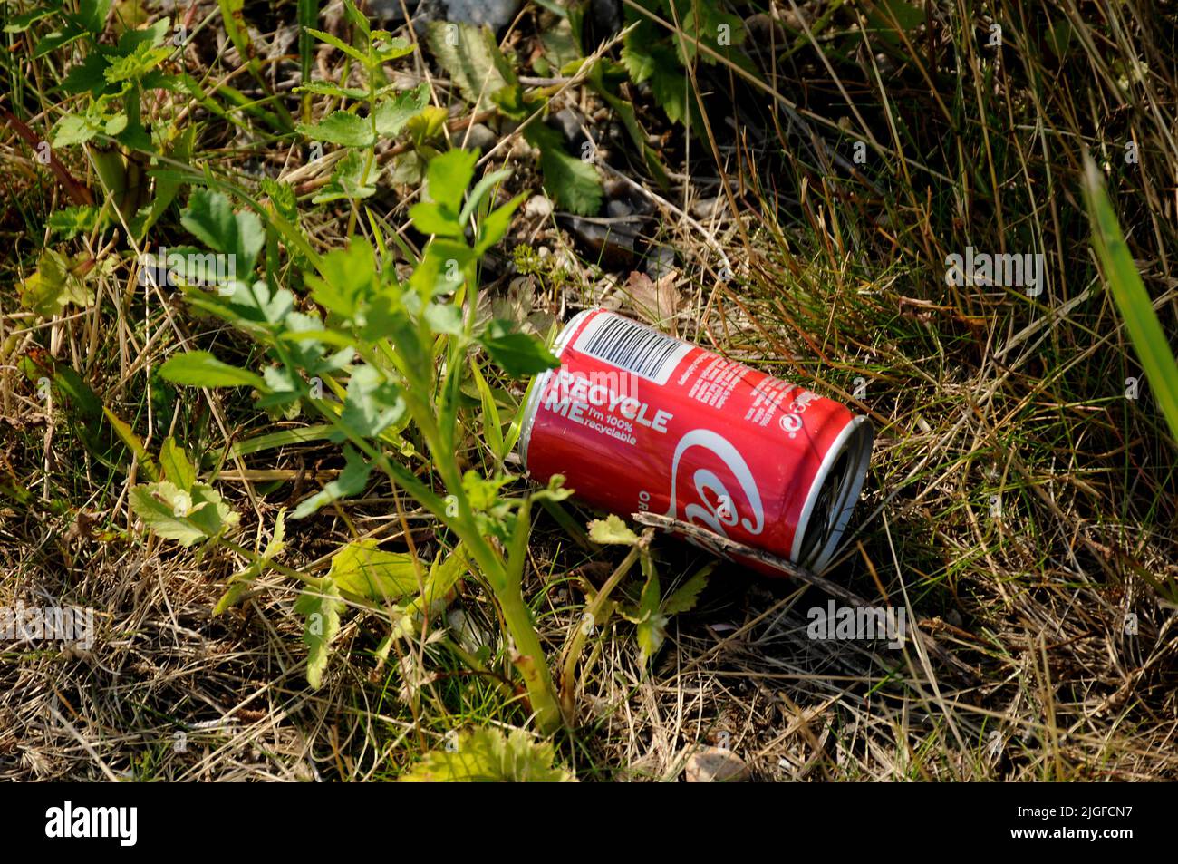Recycle me coc cola can hi-res stock photography and images - Alamy