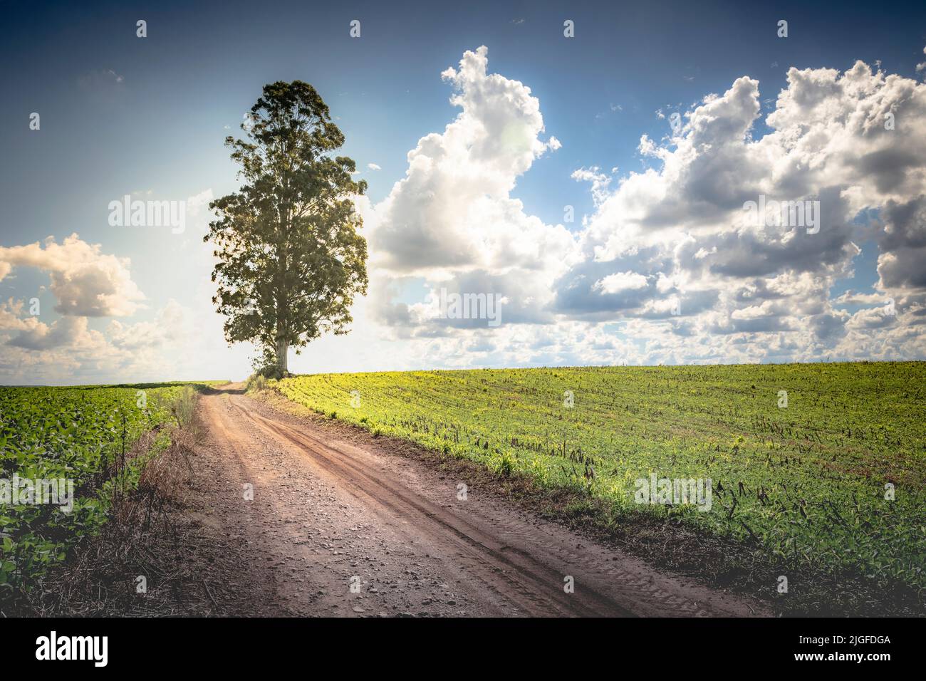 Countryside of brazil hi-res stock photography and images - Alamy