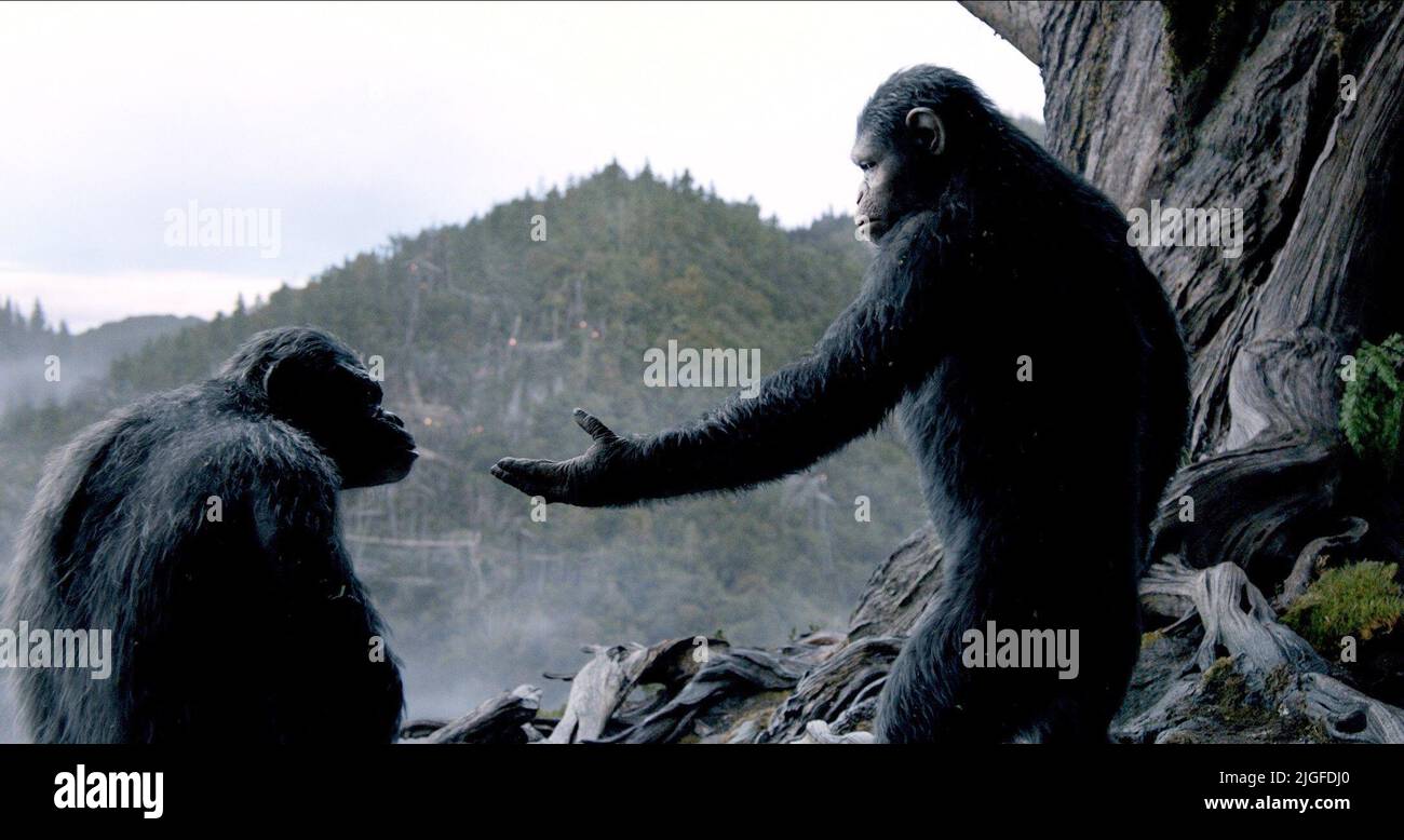 Planet of the apes hi-res stock photography and images - Alamy