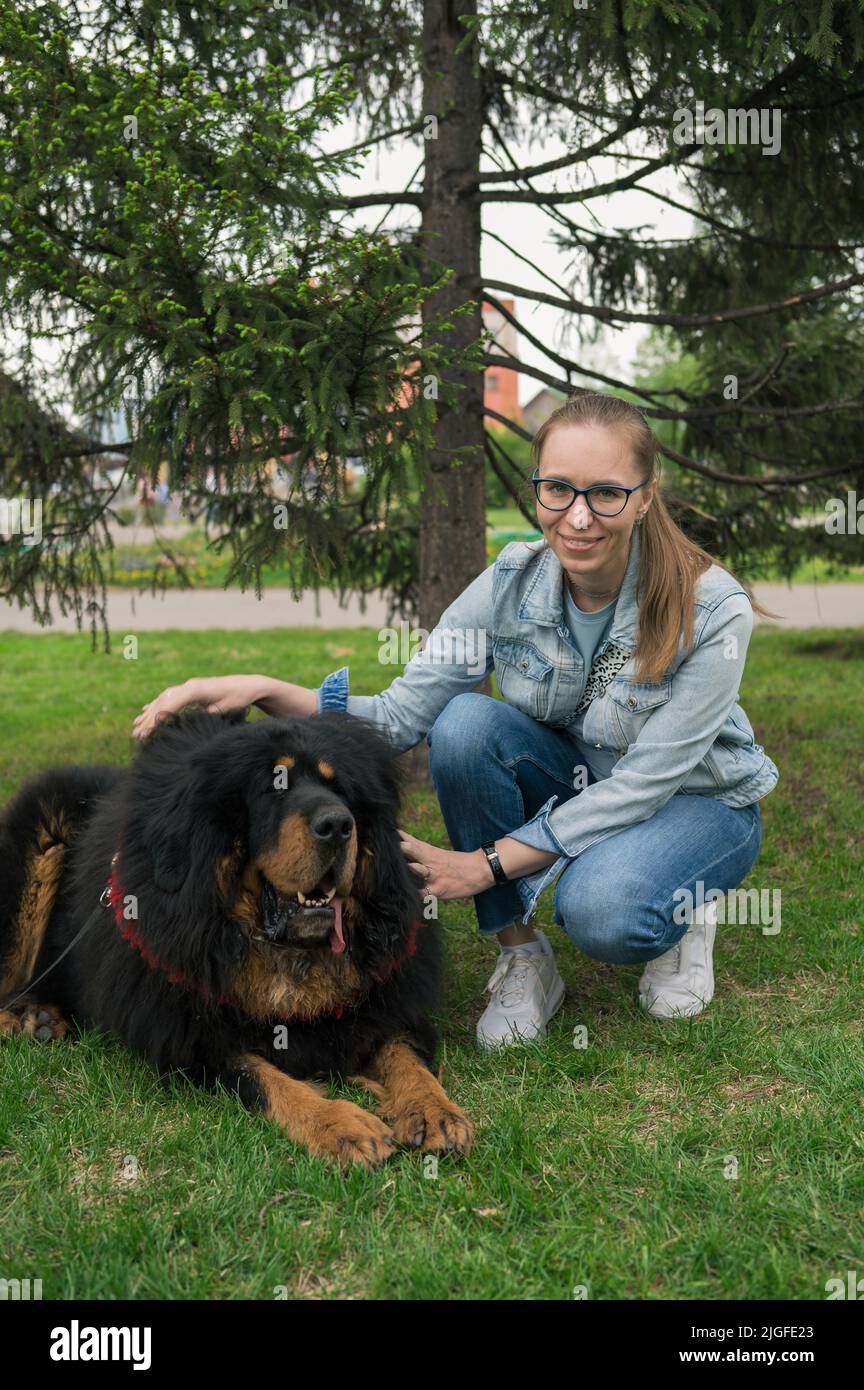 Happy woman walking with tibetan mastiff in park Stock Photo - Alamy