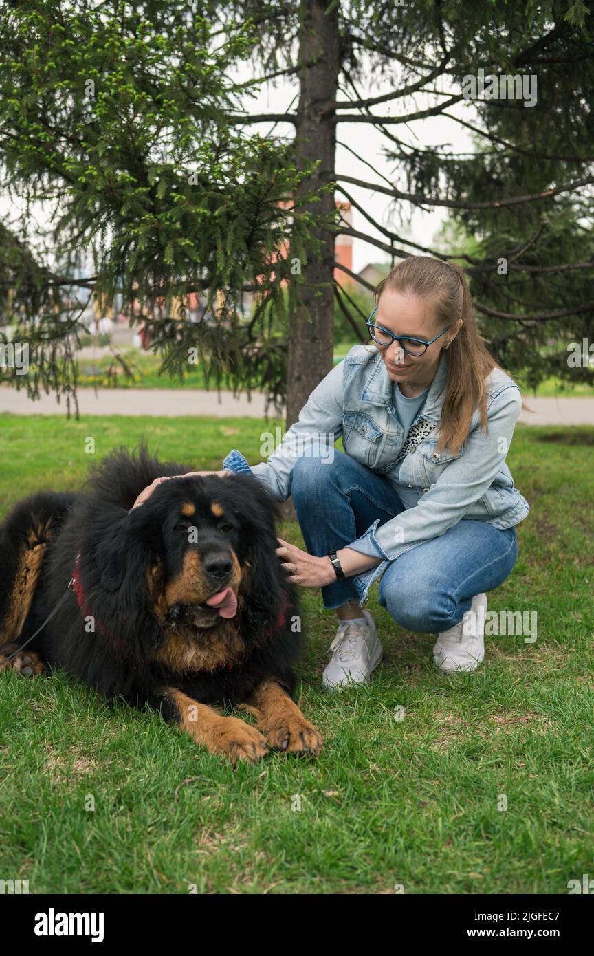 Happy woman walking with tibetan mastiff in park Stock Photo - Alamy