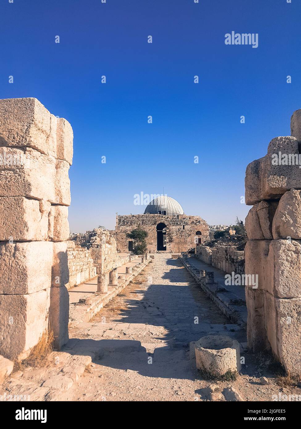 Ancient Arabian Culture