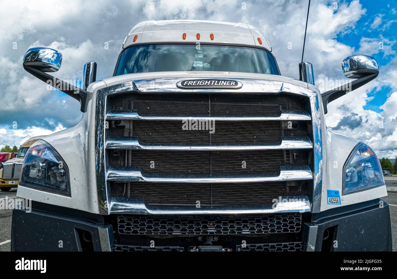 Freightliner Cascadia Evolution White