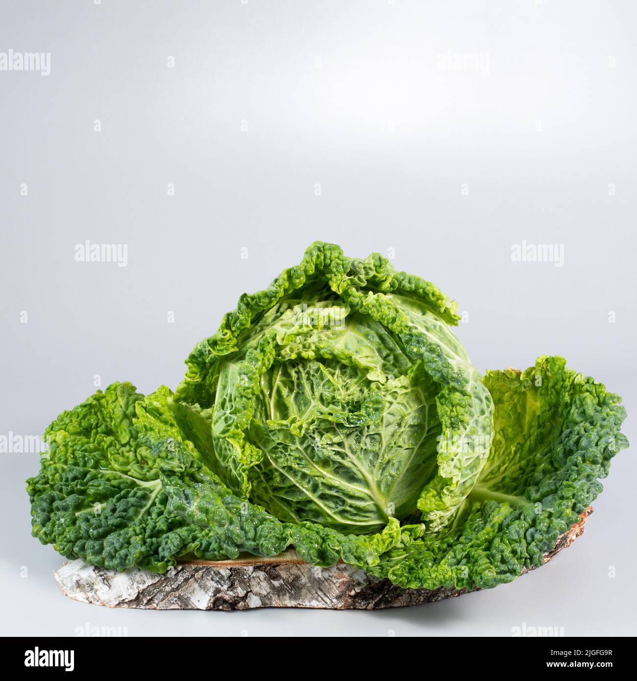 Backgrousavoy cabbage hi-res stock photography and images - Alamy