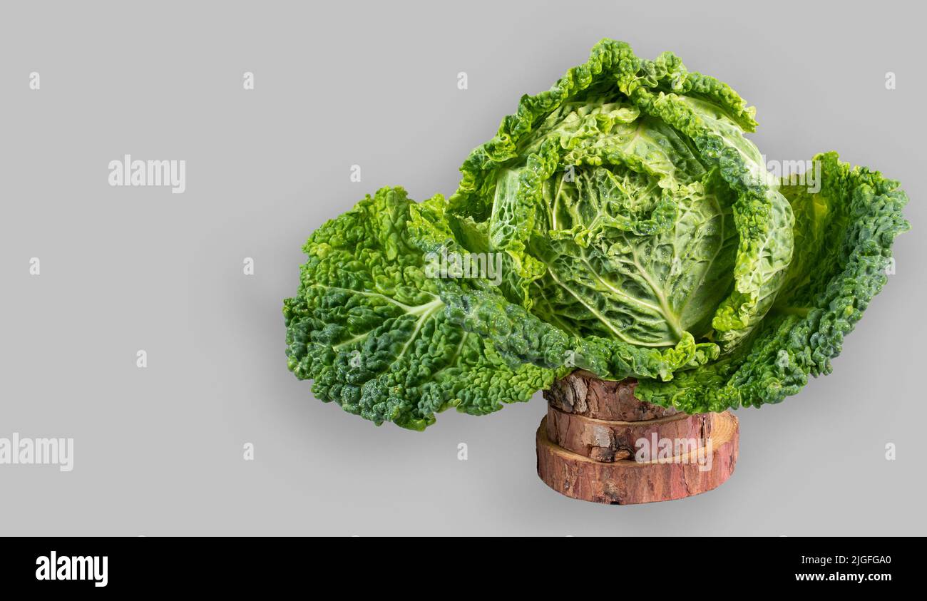 Backgrousavoy cabbage hi-res stock photography and images - Alamy