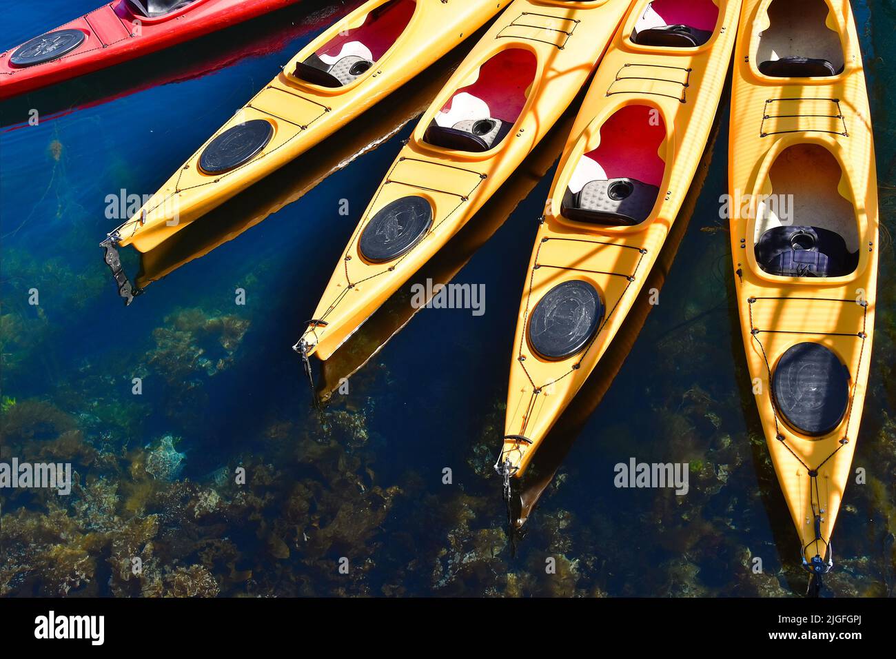 Colorful kayaks, in a row ,on the water in Alesund, Norway Stock Photo ...