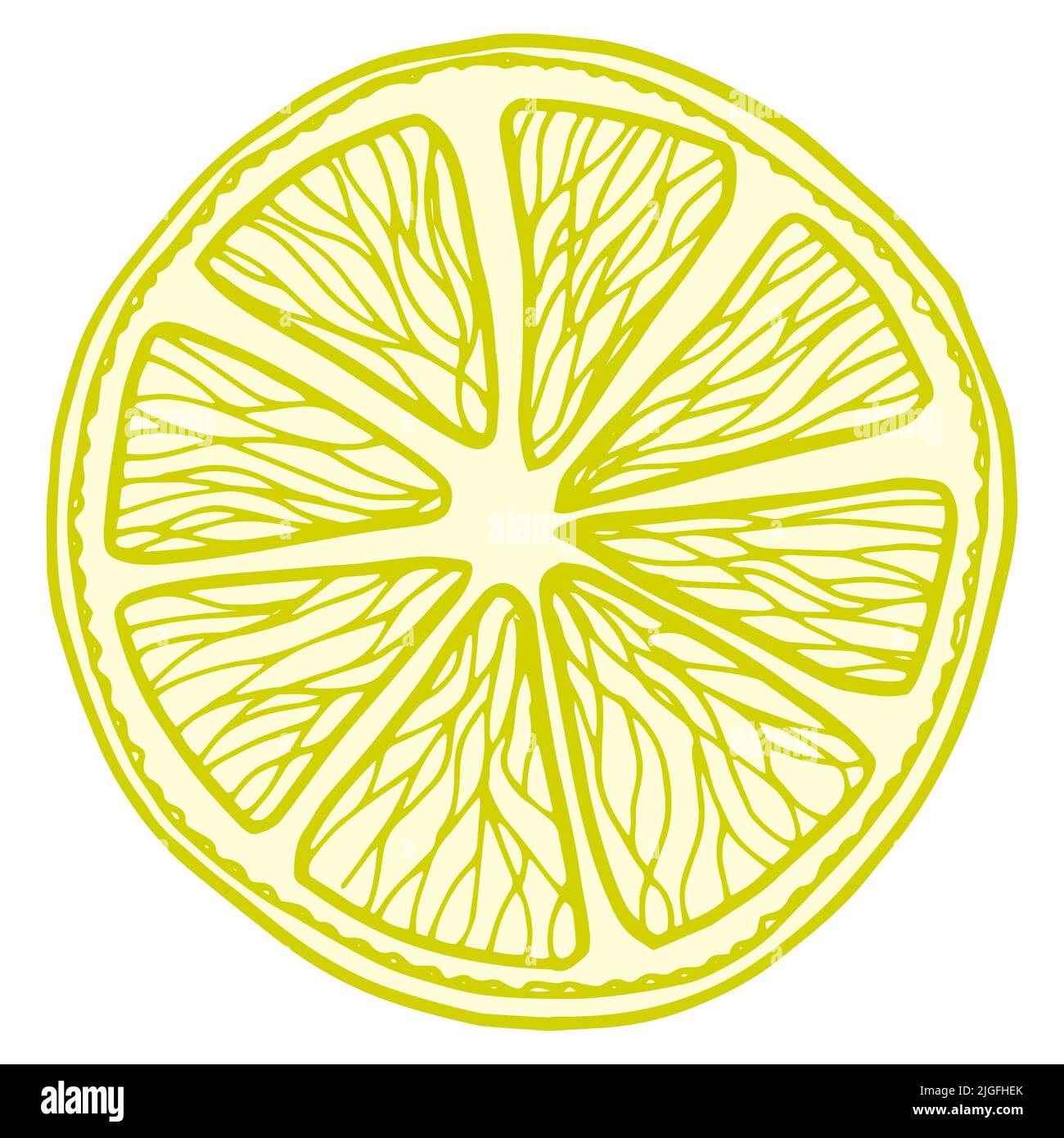 Fresh bright juicy yellow lemon vector. Fruit with high vitamin C Flat ...