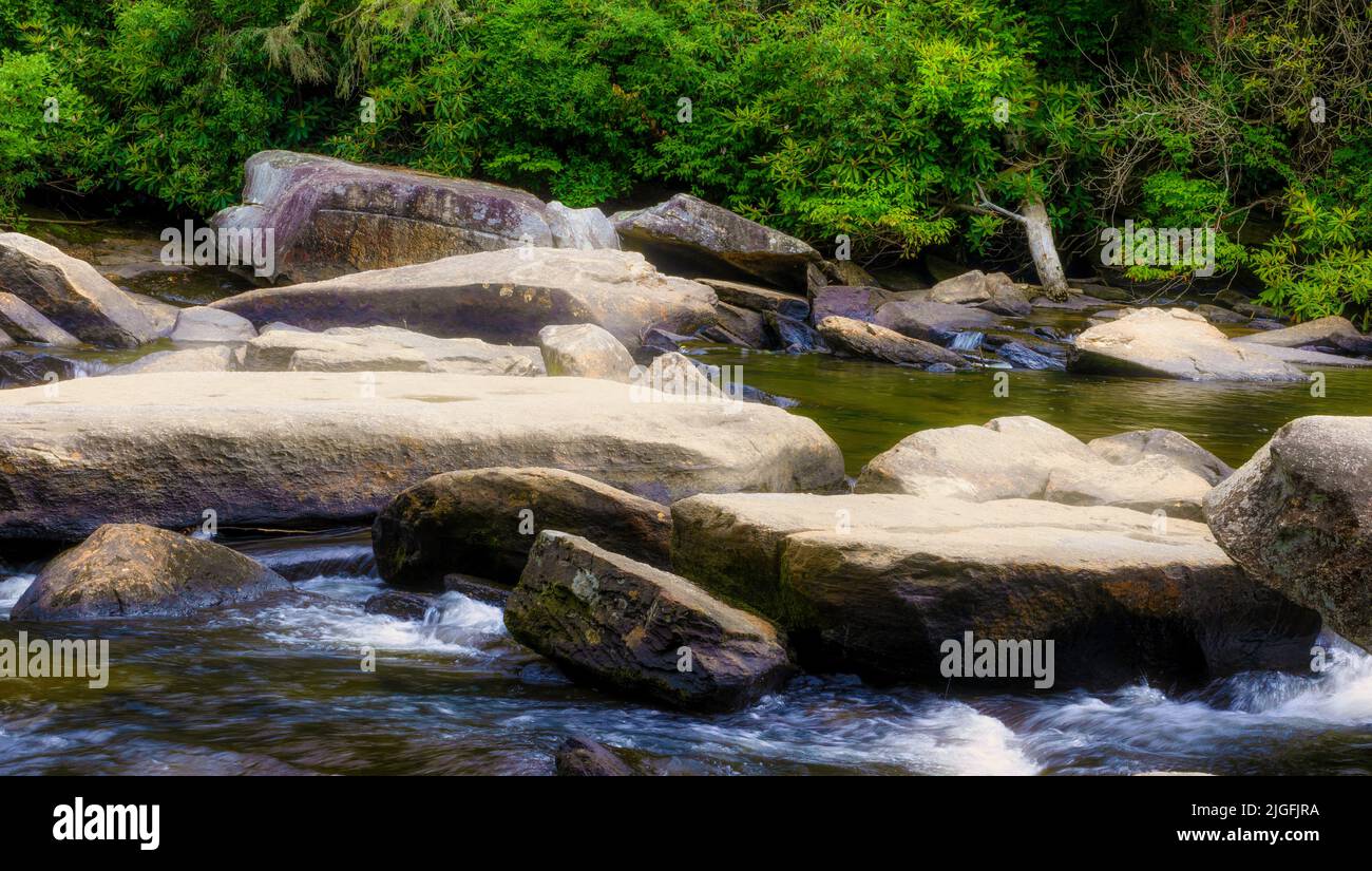 Big boulders strewn along and in the Little River in Dupont Forest ...