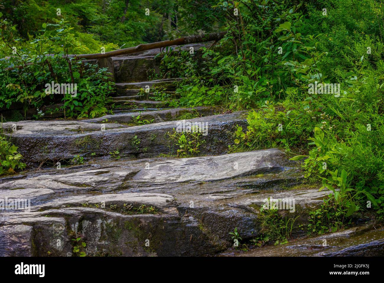 Natural stone steps used on a hiking trails that follows the Little ...