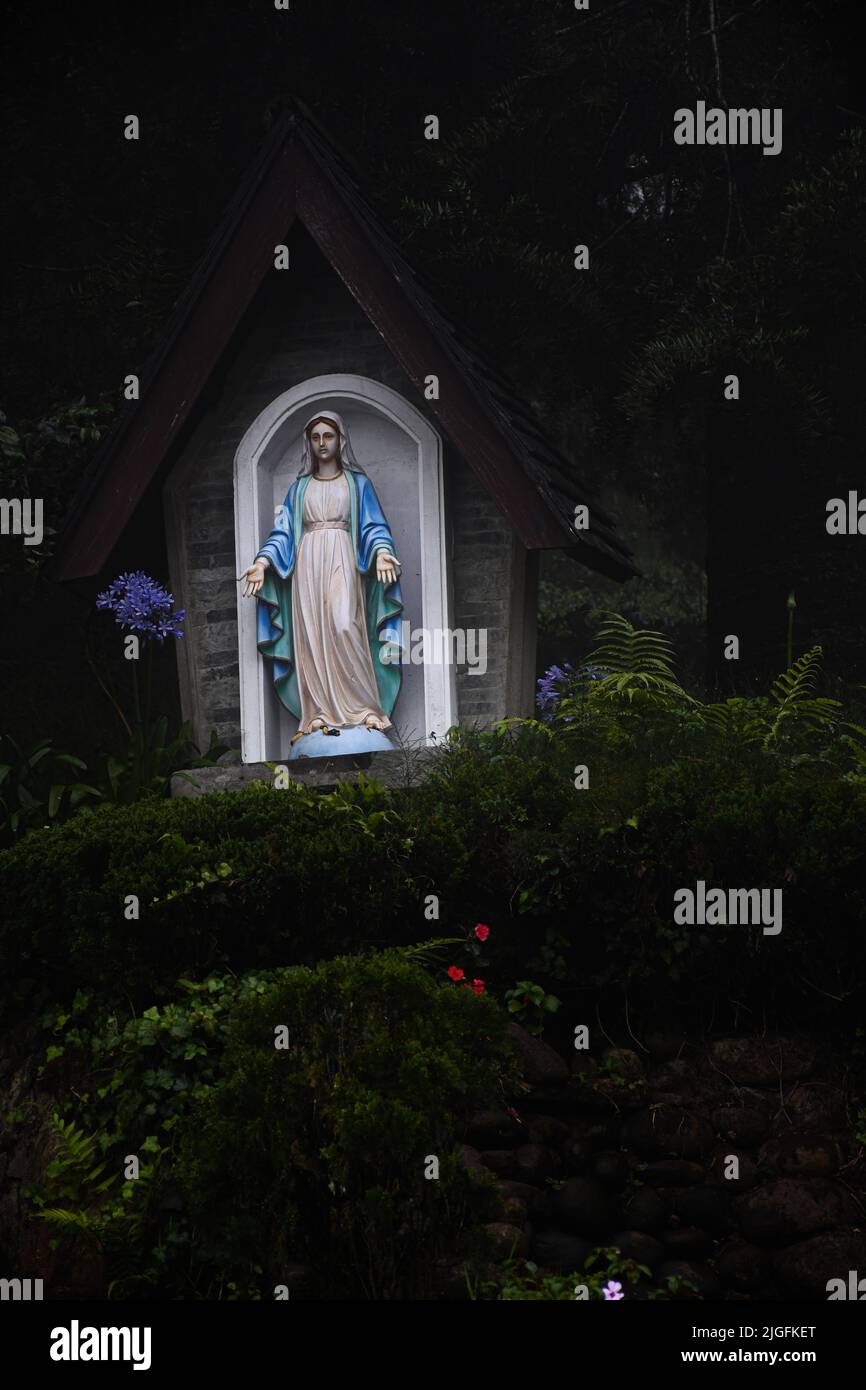 Statue of sacred mother Maria is in a garden Stock Photo - Alamy