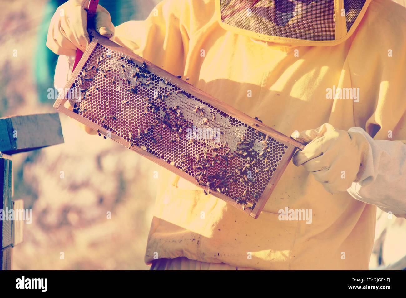 Professional beekeeping equipment hi-res stock photography and images ...