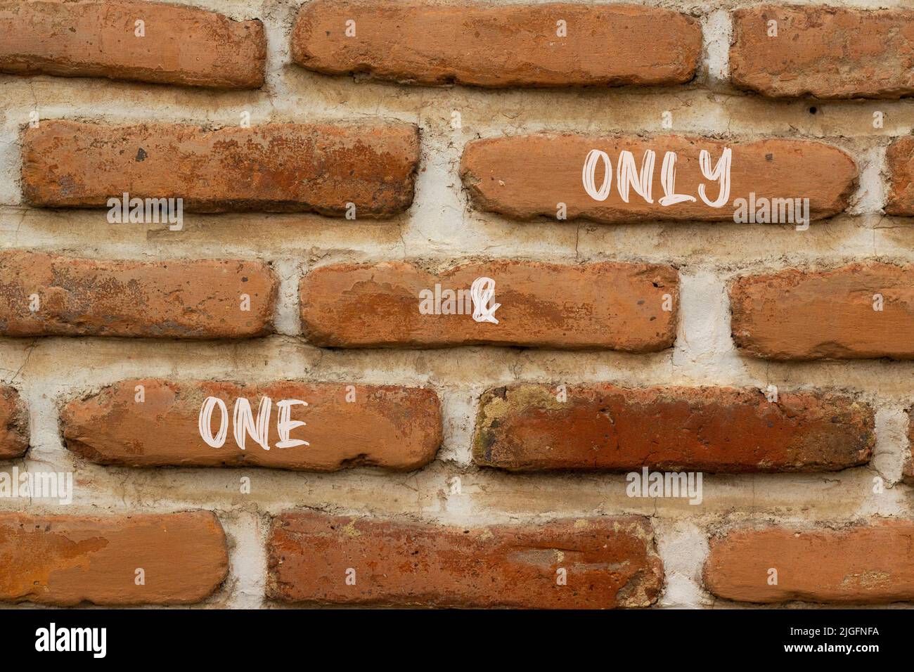 One and only symbol. Concept words One and only on red bricks on a ...