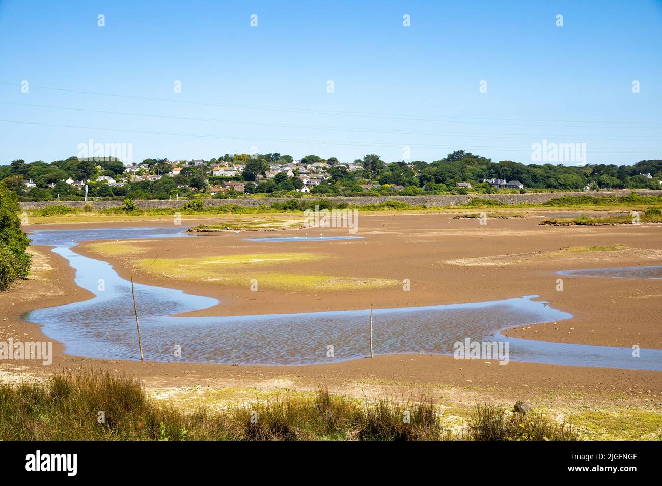 Low tide in July in Hayle Estuary, Cornwall Stock Photo - Alamy