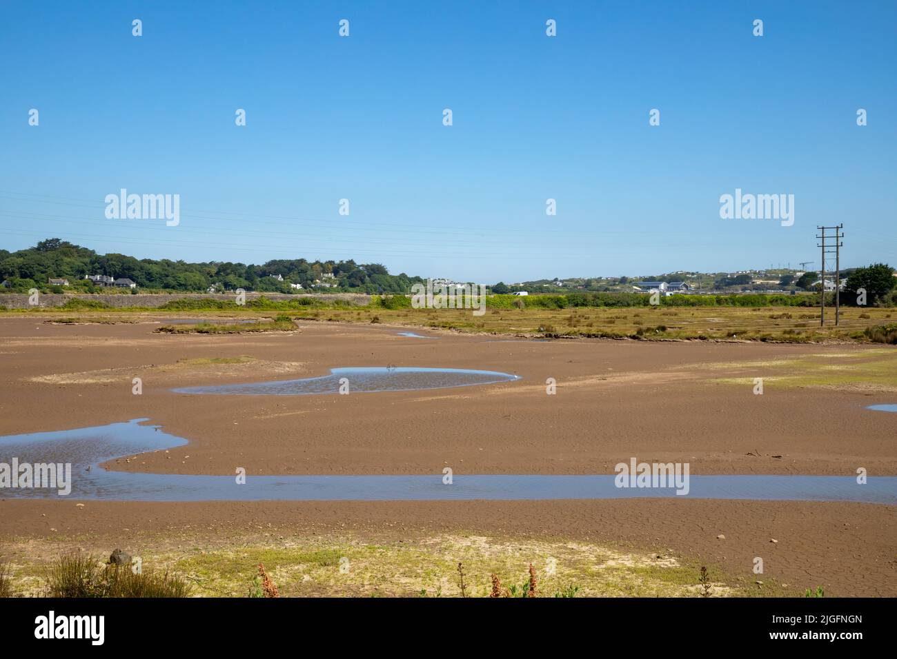 Low tide in July in Hayle Estuary, Cornwall Stock Photo - Alamy