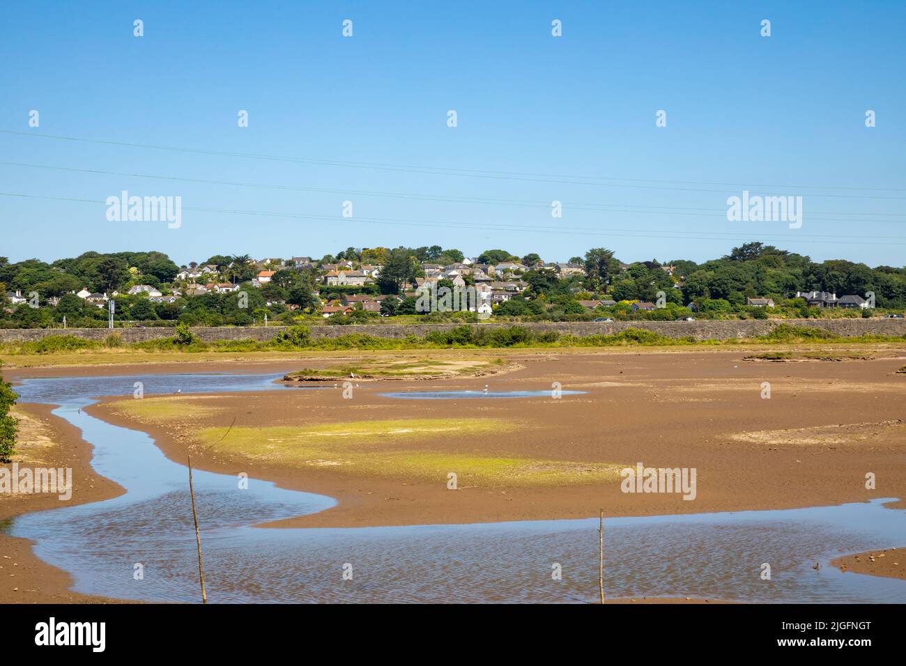 Low tide in July in Hayle Estuary, Cornwall Stock Photo - Alamy