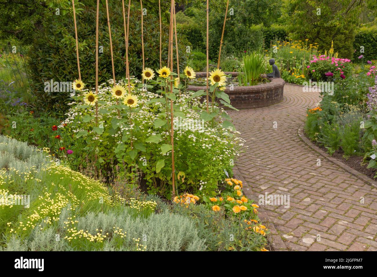A brick pathway taking you through planted borders of sunflower ...