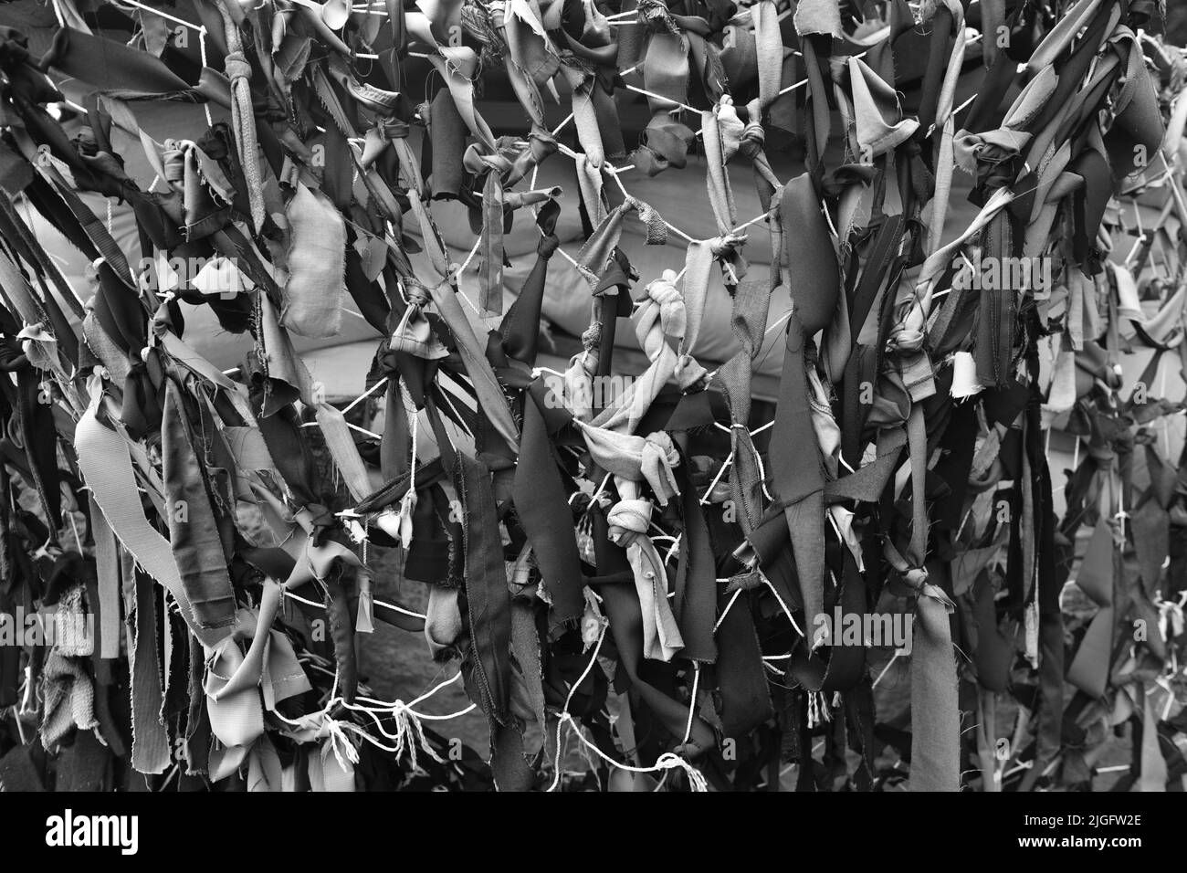 Masking net hi-res stock photography and images - Alamy