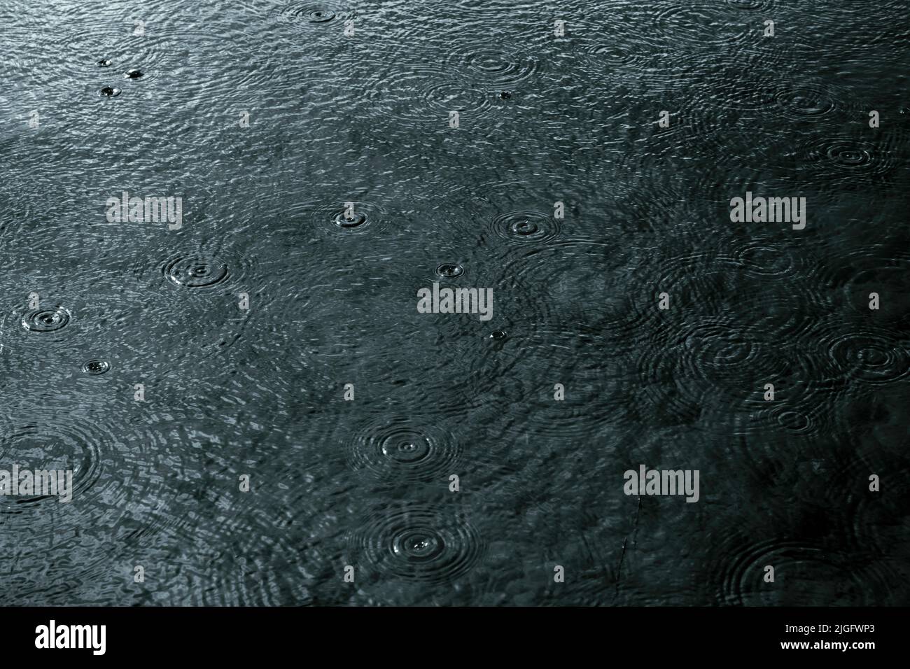 Rainfall or rainy weather concept with raindrop circles on the lake ...