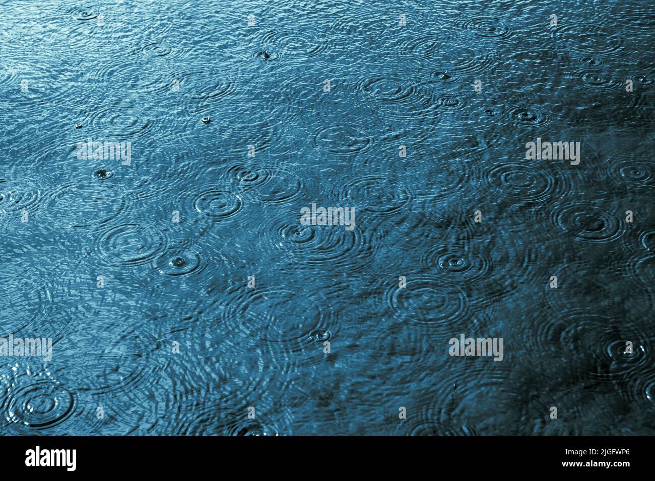 Raindrops and drop circles on the lake or puddle. Weather forecast ...