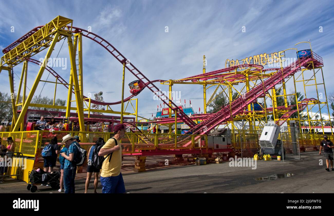 Crazy Mouse Ride Calgary Stampede 2022 Alberta Stock Photo - Alamy