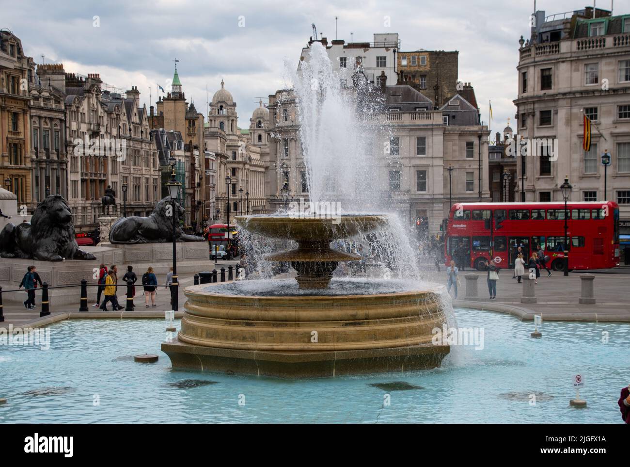 Two lions square hi-res stock photography and images - Alamy