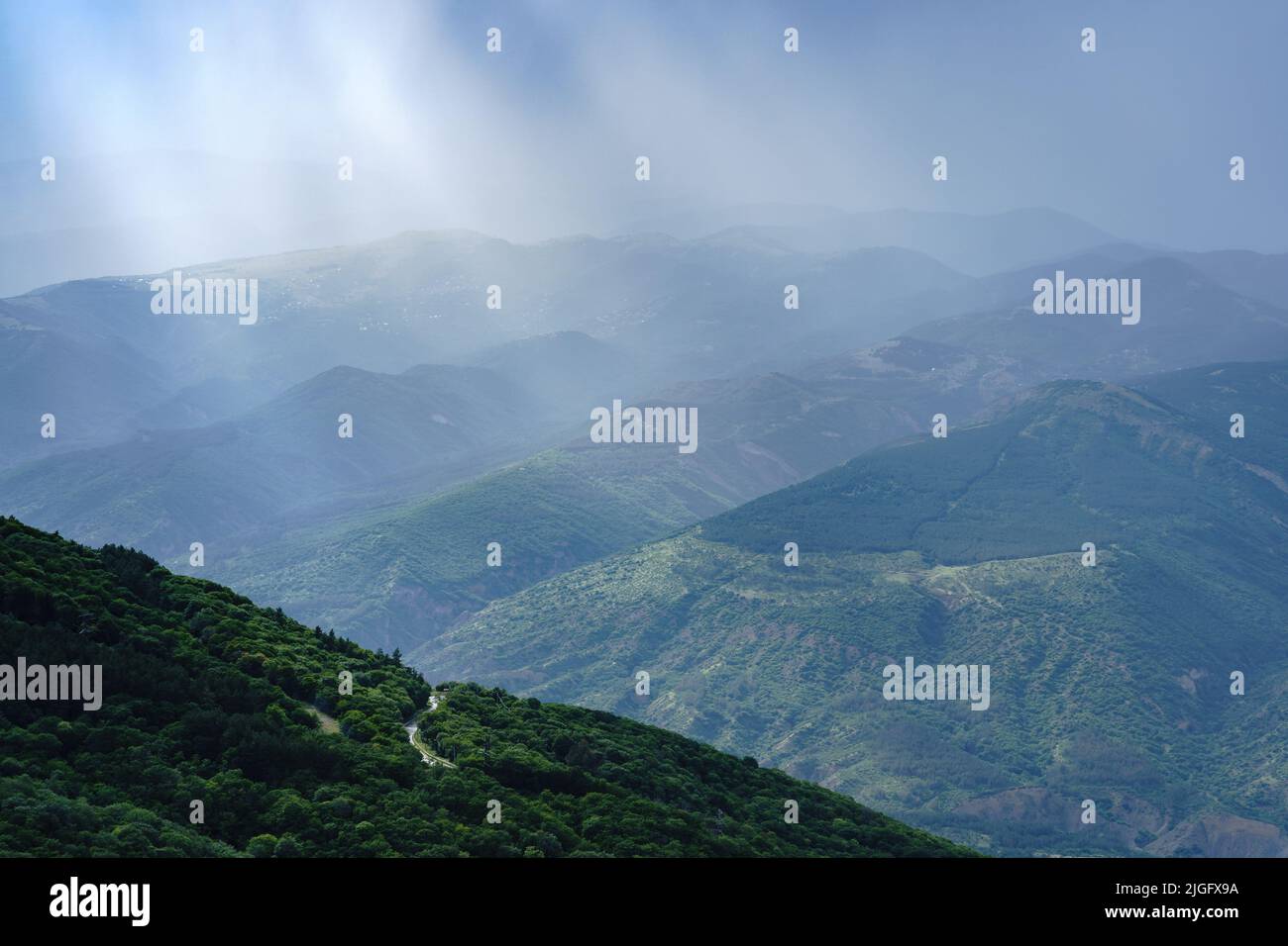 Green forest at mountain valley after rain with sun rays through clouds ...