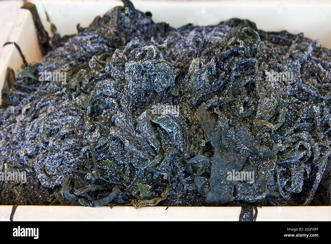 Fresh wakame seaweed in fish market Choshi Chiba Japan Stock Photo - Alamy