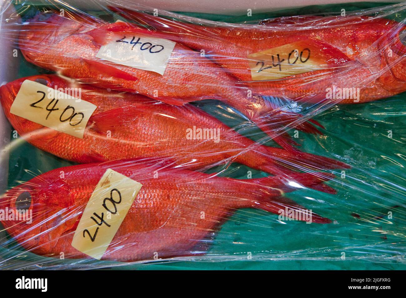 Fresh kinme-dai fish in fish market Choshi Chiba Japan Stock Photo - Alamy
