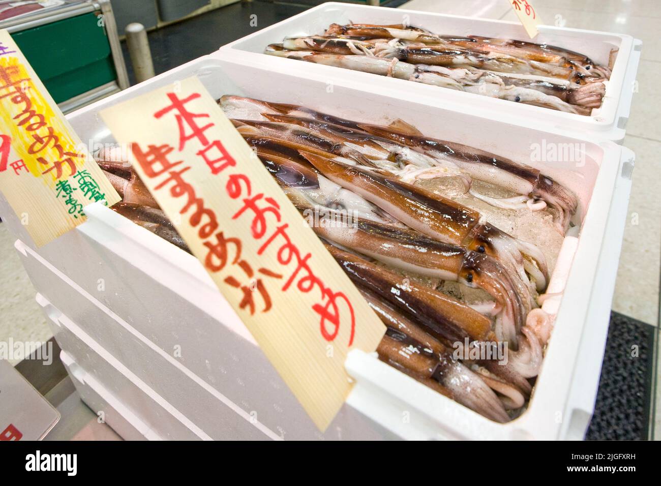 Fresh squid supermarket Tokyo Japan Stock Photo - Alamy