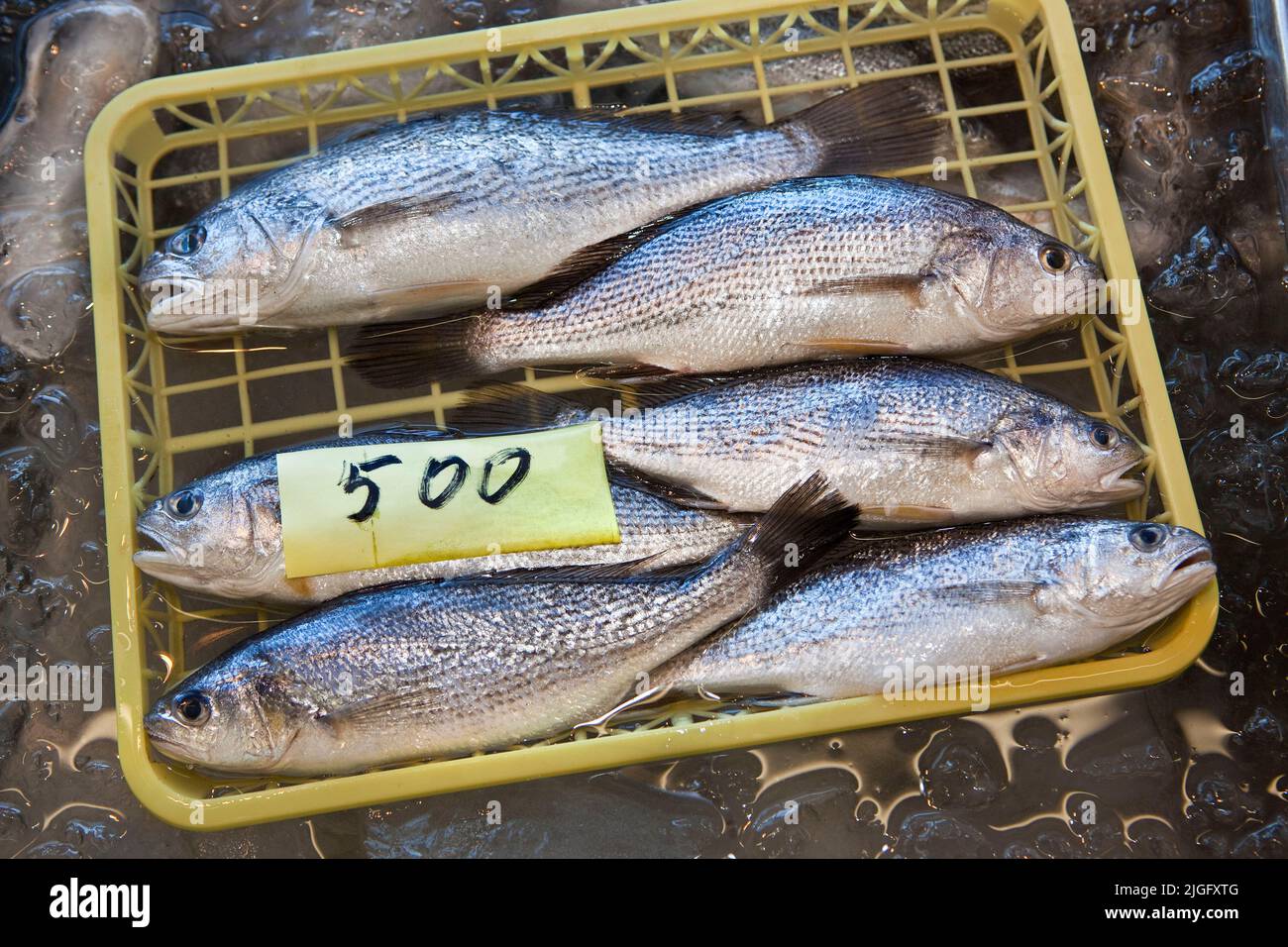 Fresh fish in fish market Choshi Chiba Japan Stock Photo - Alamy