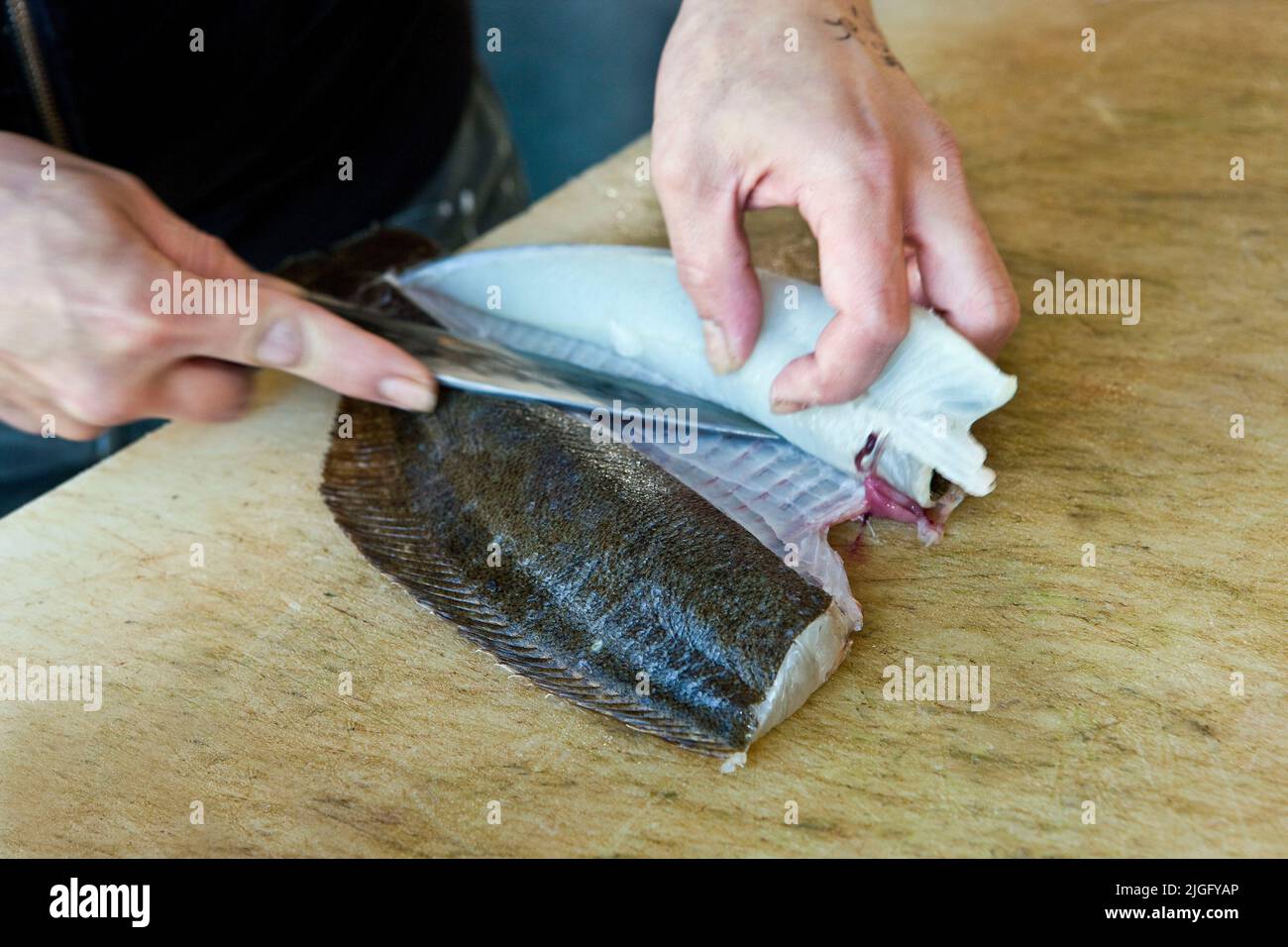 Halibut fish in the sea hi-res stock photography and images - Alamy