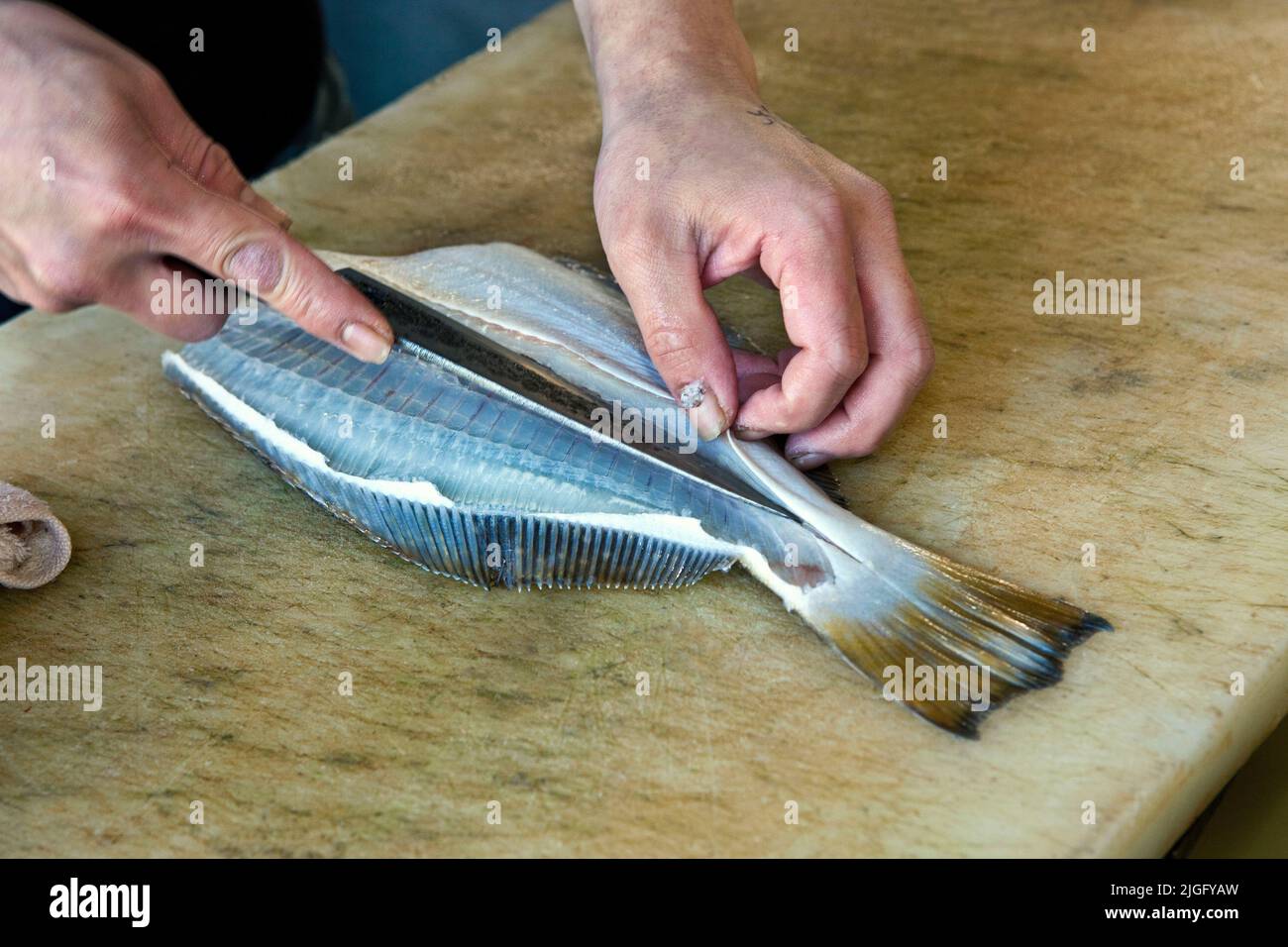 Fisherman fillets halibut hirame in fish market Choshi Chiba Japan ...