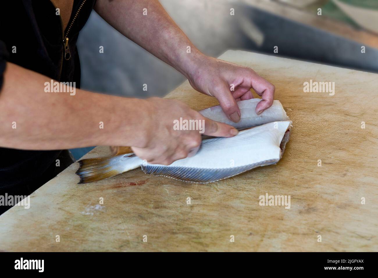 Halibut fish in the sea hi-res stock photography and images - Alamy