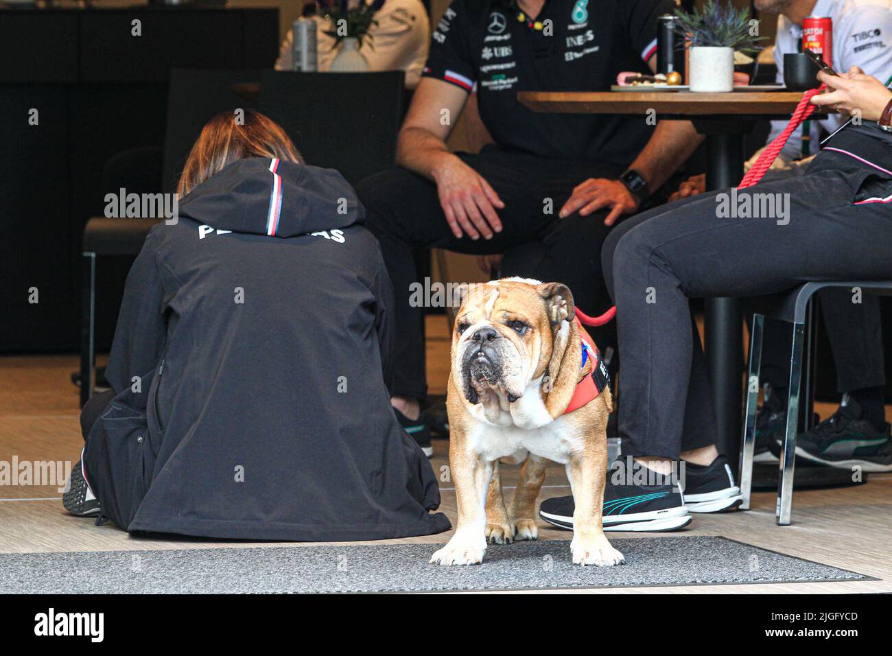 Spielberg, Austria. 10th July, 2022. Roscoe - Lewis Hamilton (GBR ...