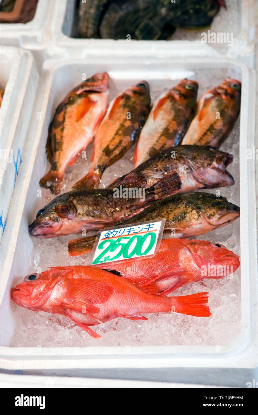 Fresh fish for sale Tsukiji Fish Market Tokyo Japan Stock Photo - Alamy