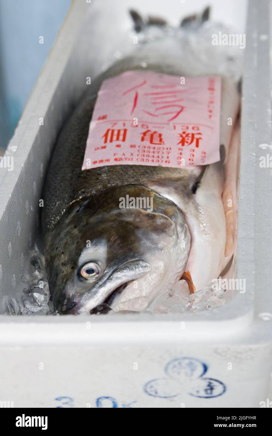Fresh fish Tsukiji Fish Market Tokyo Japan Stock Photo - Alamy