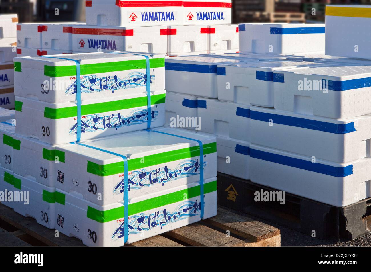 Fresh mackerel saba packed in ice loaded for shipping Choshi Chiba ...