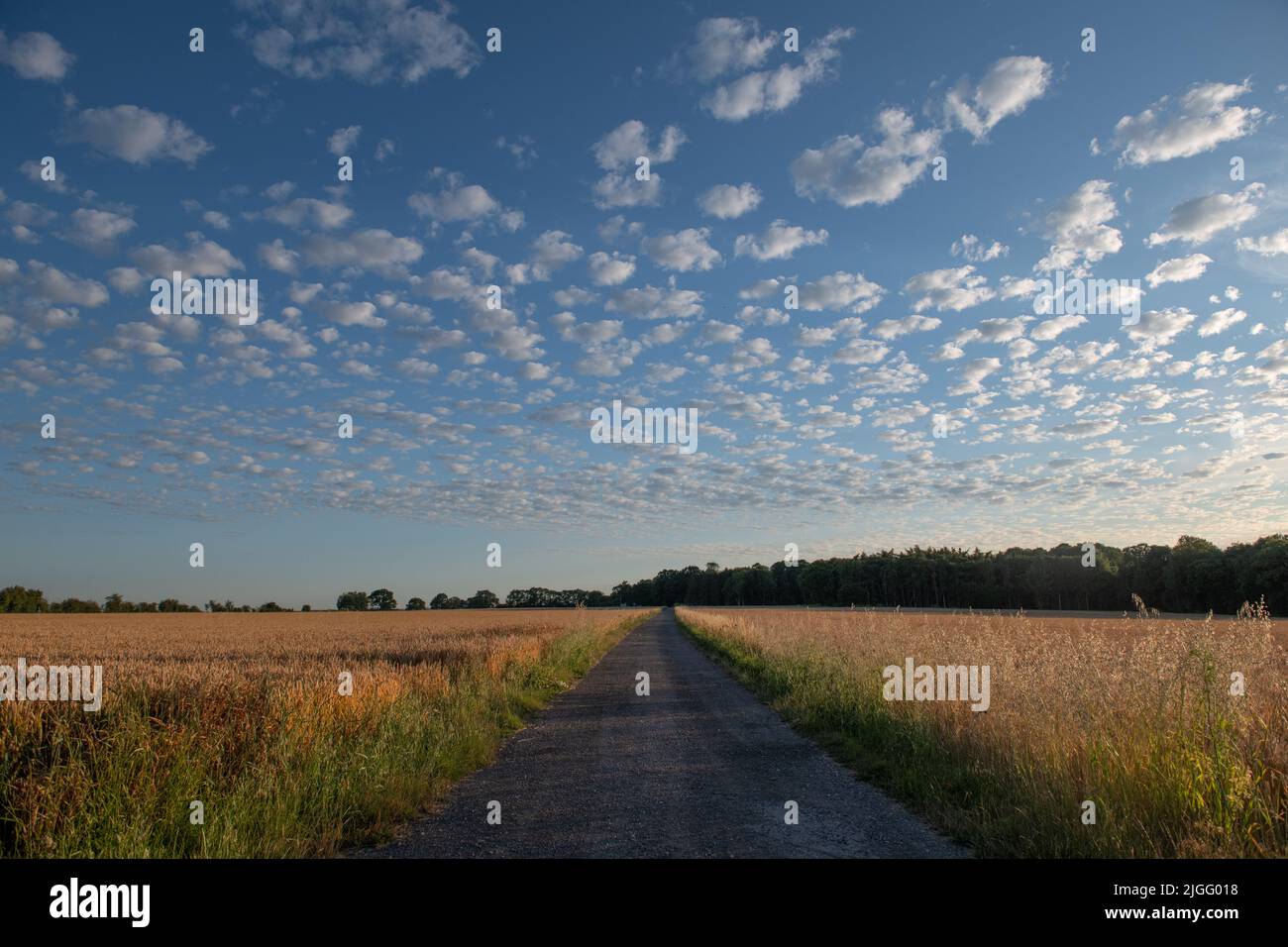 Long wittenham hi-res stock photography and images - Alamy