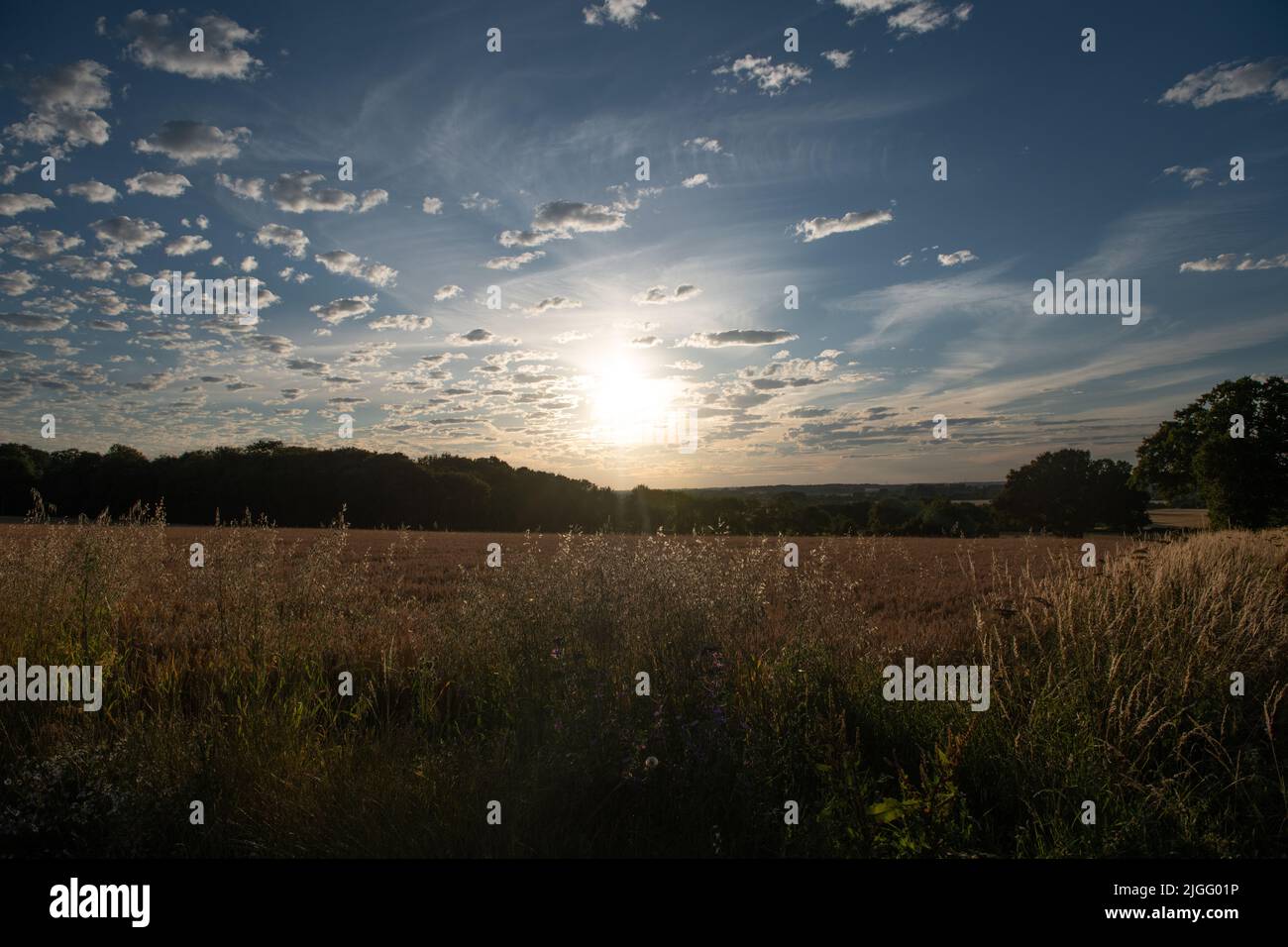Long wittenham hi-res stock photography and images - Alamy