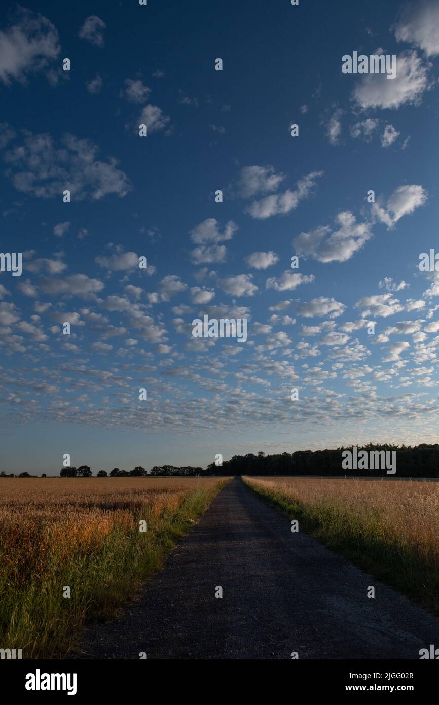Long wittenham hi-res stock photography and images - Alamy