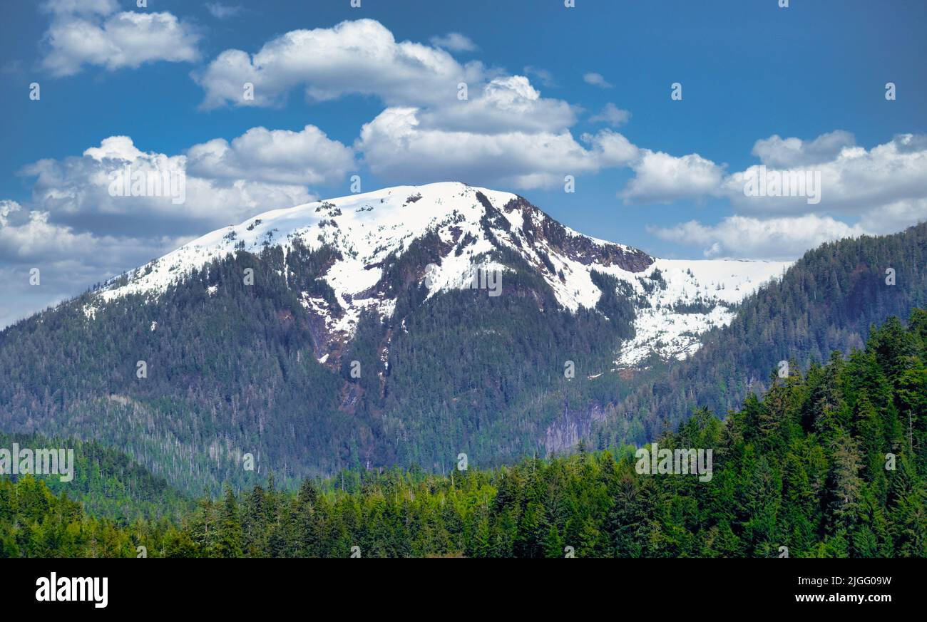 Snow Capped Mountain in Alaska Stock Photo - Alamy