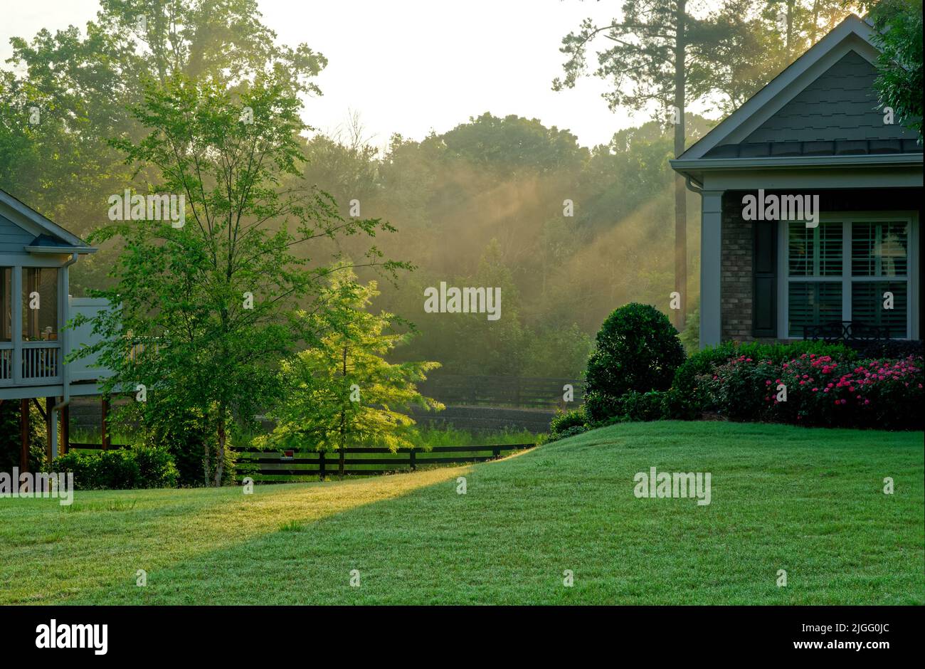 Early Morning Sunlight on Trees and Grass Stock Photo - Alamy