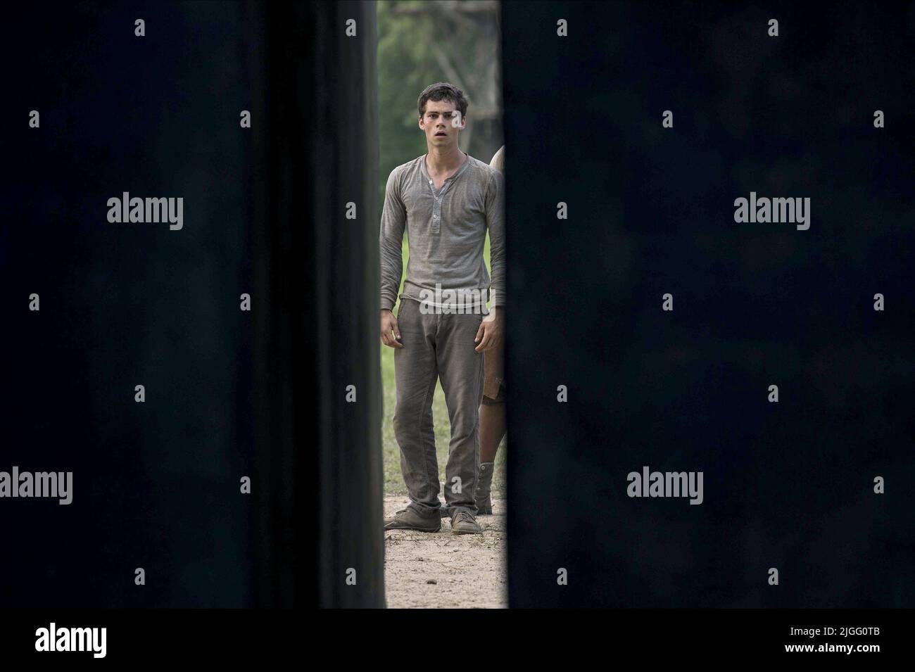 DYLAN O'BRIEN, THE MAZE RUNNER, 2014 Stock Photo - Alamy
