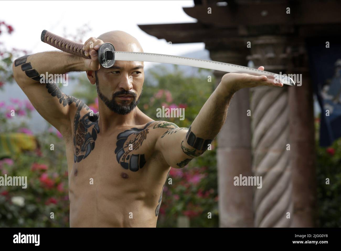 Masashi odate hi-res stock photography and images - Alamy